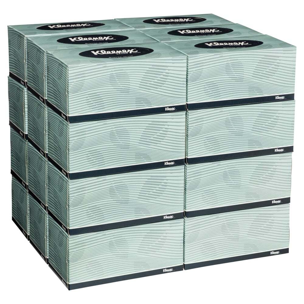 Kleenex Facial Tissue 2 Ply 200 Sheet Carton Of 24 Boxes - Hytex Healthcare