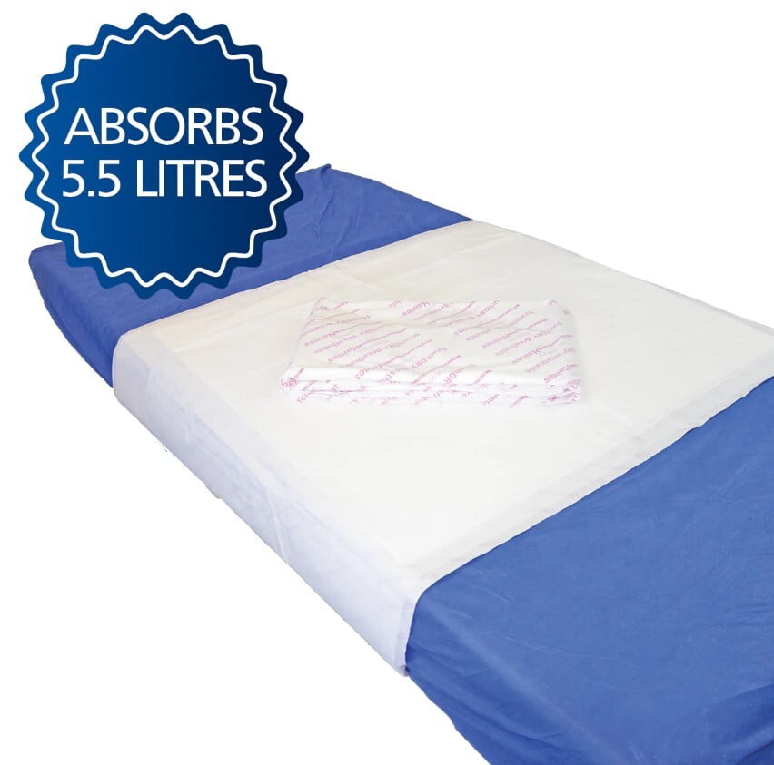 Haines TouchDry Plus With Wings Absorbent Pad For Maternity 190x90cm ...